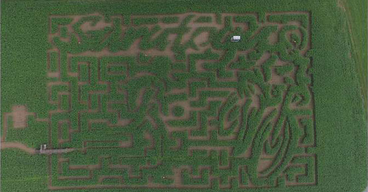 Plan a Corn Maze Adventure in the Lake George Region