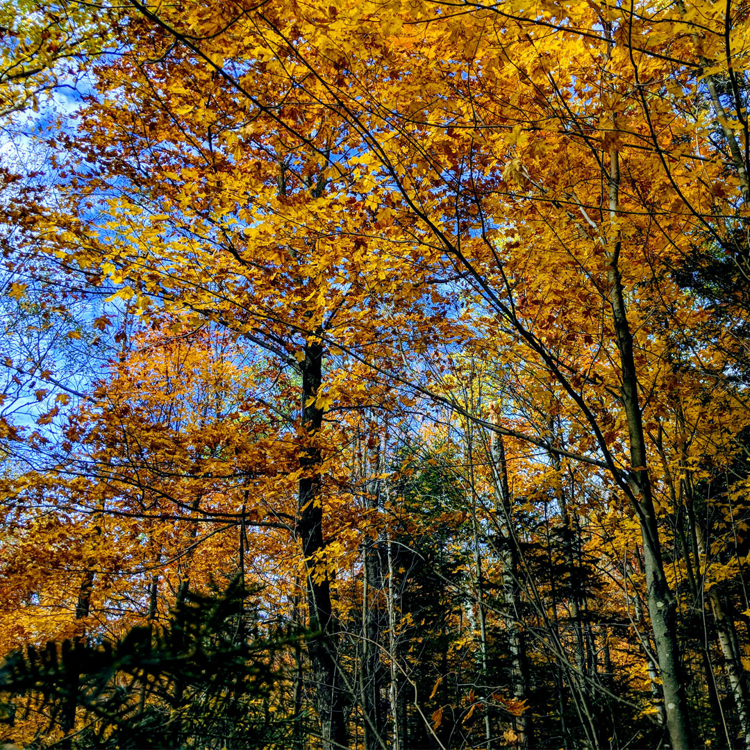 Lake George Fall Leaf Peeping Guide: When to See Fall Foliage